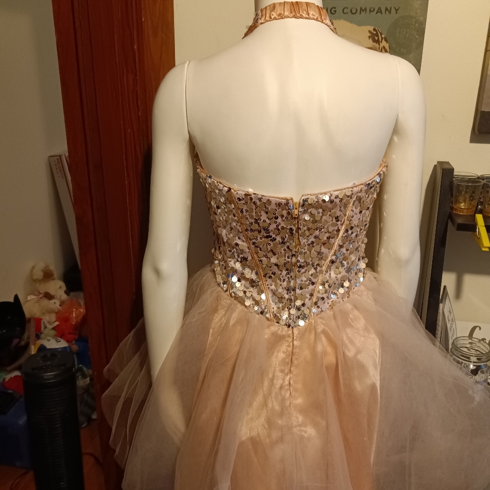 Homecoming Or Ballerina Barbie Costume New - Gem